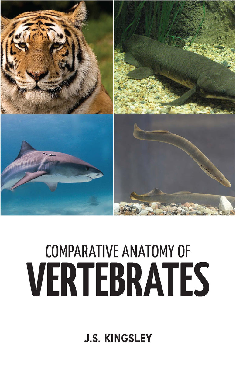 COMPARATIVE ANATOMY OF VERTEBRATES – MJP PUBLISHERS